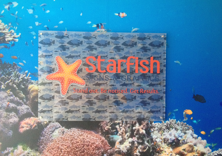 Impacting & Interactive Designs for Offices - Starfish Signs